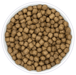 Natural Dog Food | Healthy Kibble for Dogs - Natural Dog Food Company