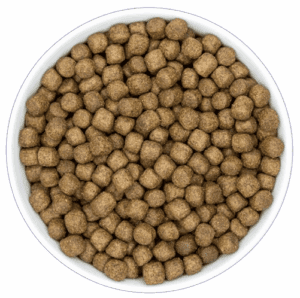 Natural Dog Food | Healthy Kibble for Dogs - Natural Dog Food Company