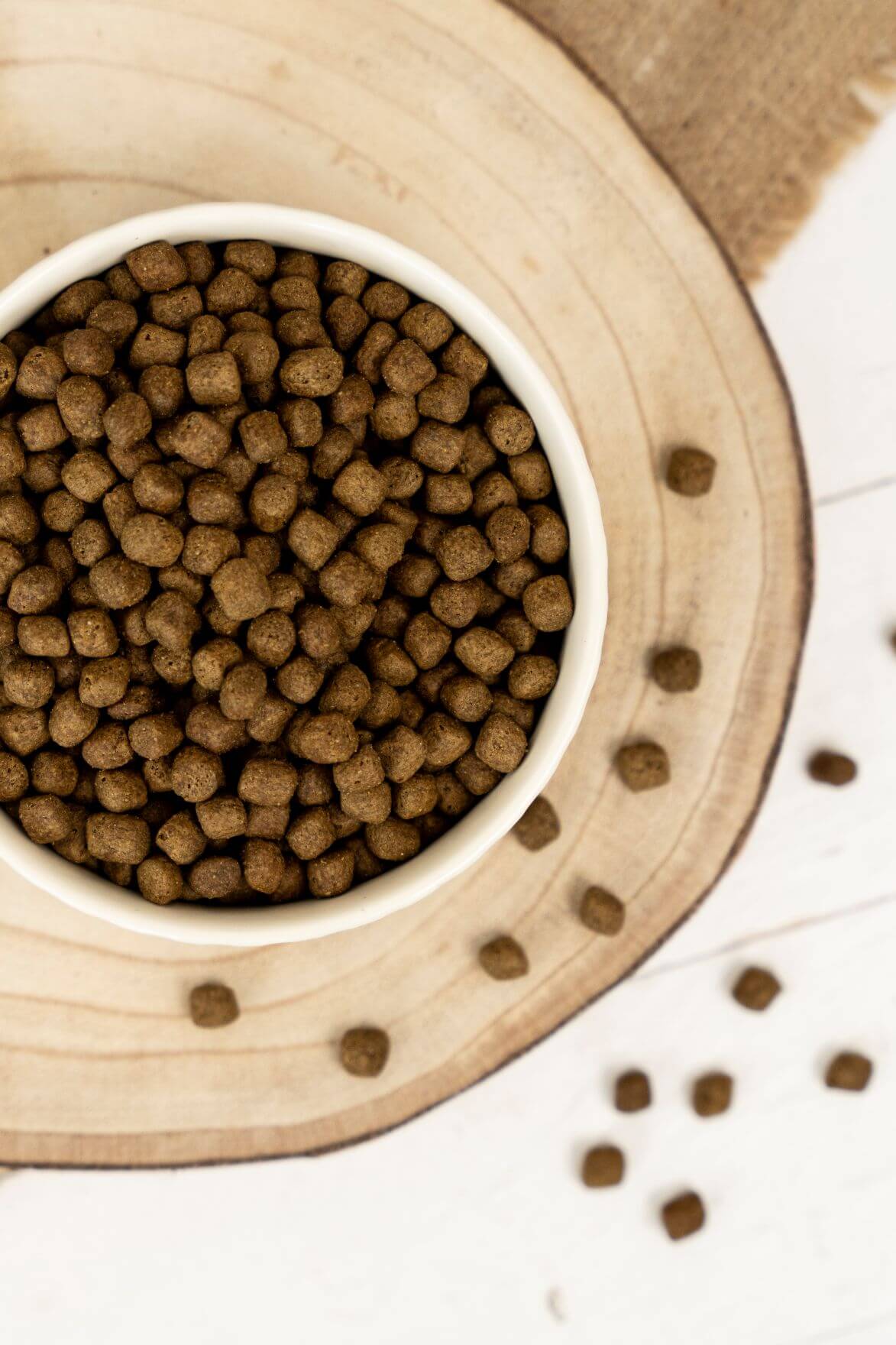 Guide to the Best Natural Dog Food | Natural Dog Food Company