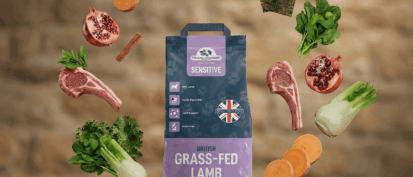 Guide to feeding senior dogs | The Natural Dog Food Company - The ...